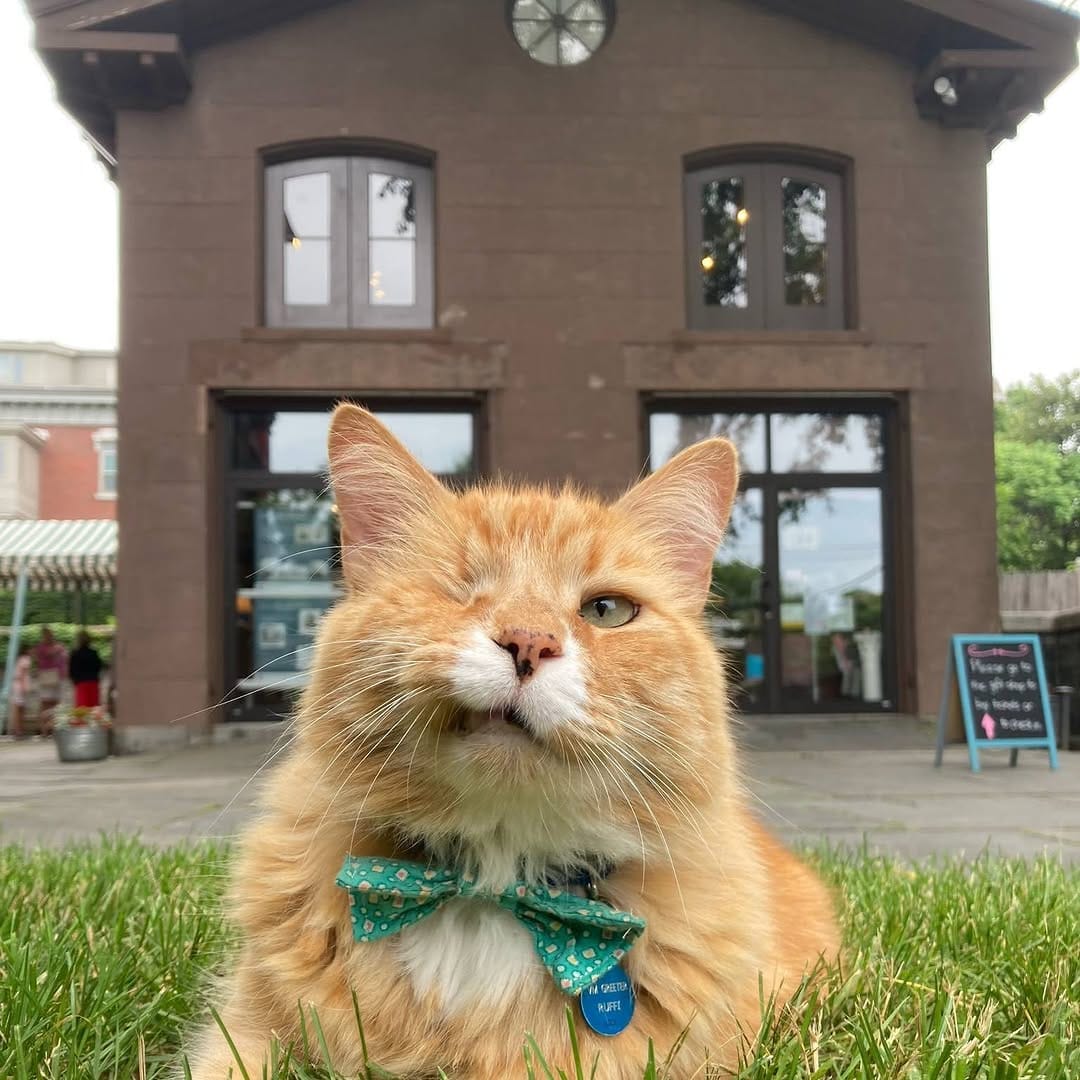 Victoria Mansion: A Masterpiece of Italian Villa Architecture (PHOTOS ...